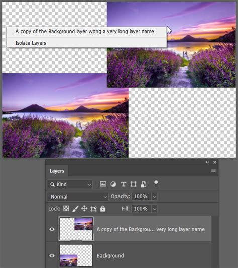solved cc 2019 cutting out the middle of layer names adobe support