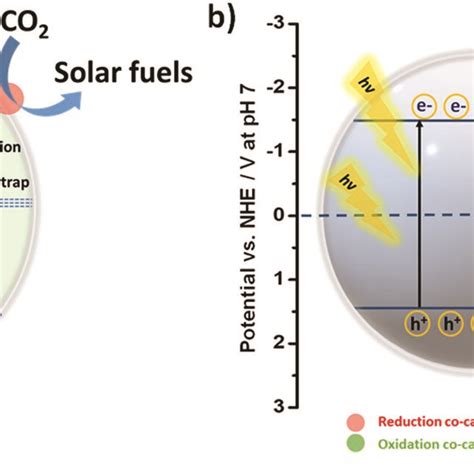 Schematic Illustration Of Photocatalytic Syngas Production Over Download Scientific Diagram