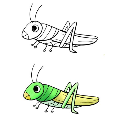 Original Hand Drawn Cartoon Coloring Simple Stroke Grasshopper