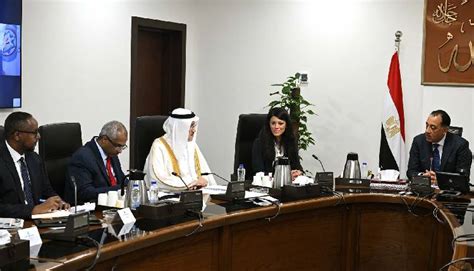 Egypts Upa Aims Ensure Medicine Availability Amwal Al Ghad