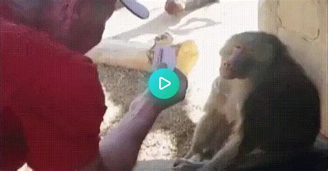 Hes So Amazed By The Magic Trick  On Imgur