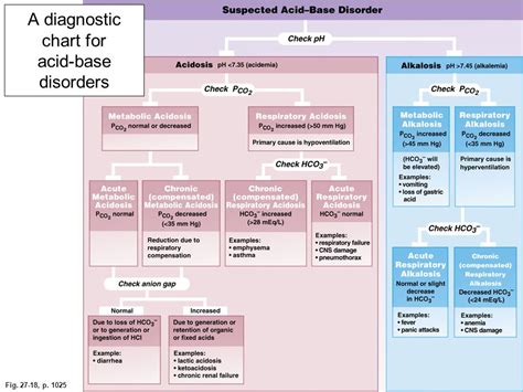 Acid Base Balance Chart