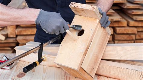 How To Build A Nest Box For Birds Woodland Trust
