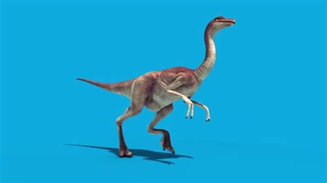 「gallimimus」の画像 448 件の Stock 写真、ベクターおよびビデオ Adobe Stock
