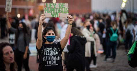 Ley De Humedales Cuidar La Gran Reserva Argentina Infobae