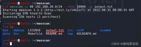 网络安全——c段扫描 Csdn博客
