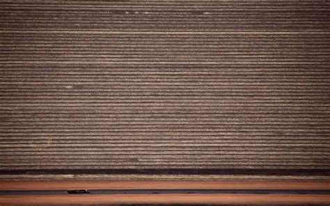 تصاویر جنگل آمازون، نمایش شکوه و سقوط طبیعت کجارو