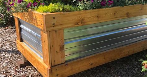 Is Corrugated Metal Safe For Garden Beds Answered Backyard Eden