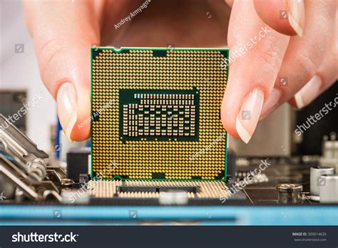 Modern Processor Motherboard Home Computer Stock Photo 309014639 Shutterstock