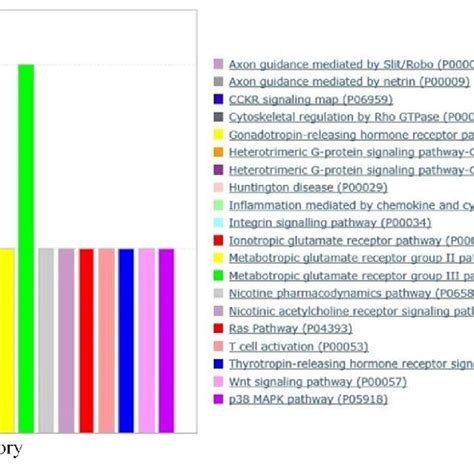 Bar Chart Of Pathways Potentially Drgs Extracted From Tempral Cortex