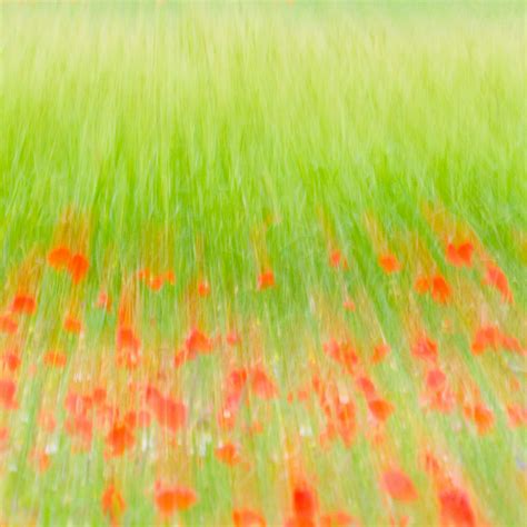 Green Grass Field During Daytime Photo Free Italia Image On Unsplash