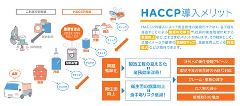 HACCP ハサップ とは義務化とポイントを解説まもる君