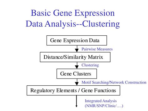 Ppt Basic Gene Expression Data Analysis Clustering Powerpoint