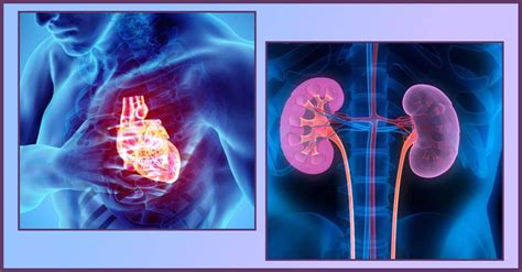 Хората с болни бъбреци по често страдат от сърдечни заболявания Университетска многопрофилна