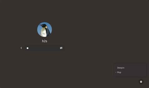 Install Deepin Desktop Environment UbuntuDDE On POP OS