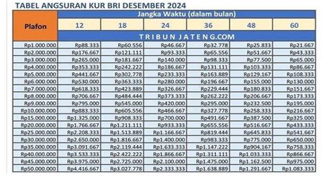 Info Cicilan KUR BRI 2024 Bunga 0 5 Persen Desember Pinjam Rp 40 Juta