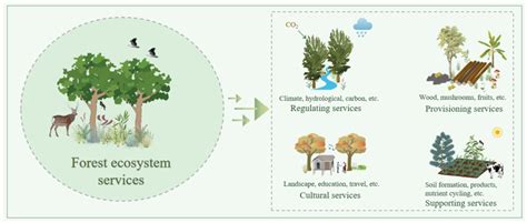 Forests Free Full Text A Review Of Ecosystem Service Trade Offs Synergies Enlightenment For