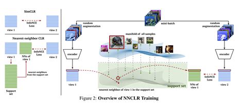 Self Supervised Contrastive Learning With NNCLR