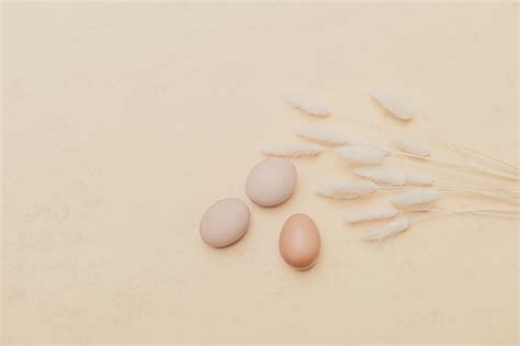 갈색 말린 토끼 꼬리 잔디와 자연 베이지 색 배경에 계란 제로 폐기물 부활절 개념 친환경 라이프스타일 복사 공간 0에 대한 스톡
