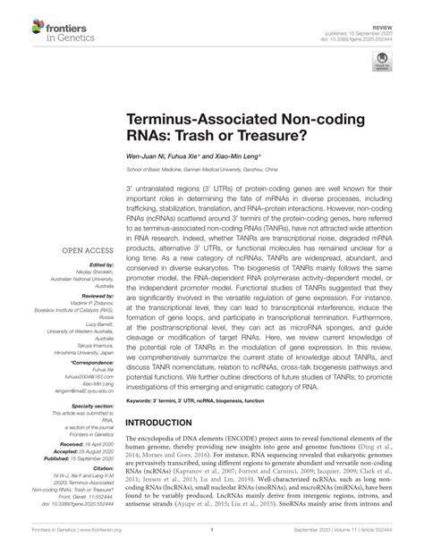 Pdf Terminus Associated Non Coding Rnas Trash Or Treasure