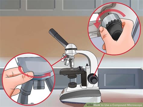 How To Use A Compound Microscope 11 Steps With Pictures