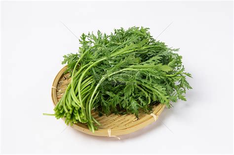 茼蒿高清图片下载 正版图片501336297 摄图网