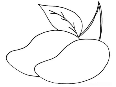 Gambar Buah Jeruk Hitam Putih 50 Koleksi Gambar