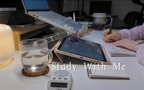 Study With Meme·沉浸式陪伴学习·夜晚学习｜篝火白噪音·无音乐｜实时学习·深夜学习氛围 葡萄wpt 葡萄wpt 哔哩哔哩视频