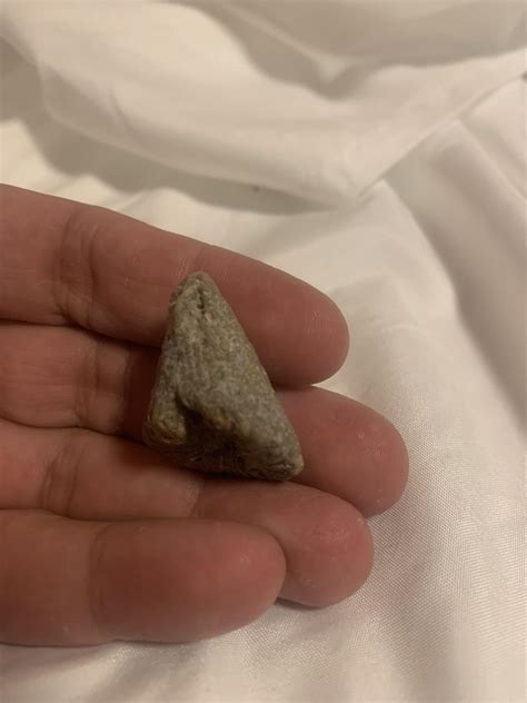 Rock Or Fossil If Fossil What Could It Be R Fossilid