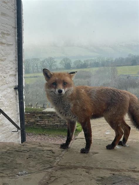 What A Cheeky Chappy Rcasualuk
