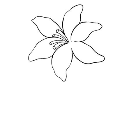 گام به گام نقاشی گل سوسن برای کودکان تــــــــوپ تـــــــــاپ