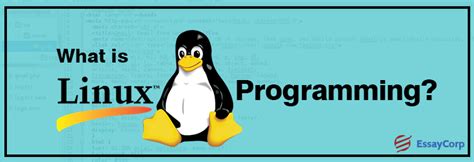 What Is Linux Programming And Linux For Beginners