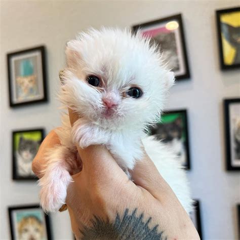 Hannah Shaw On Instagram What Does A Cleft Palate Look Like What
