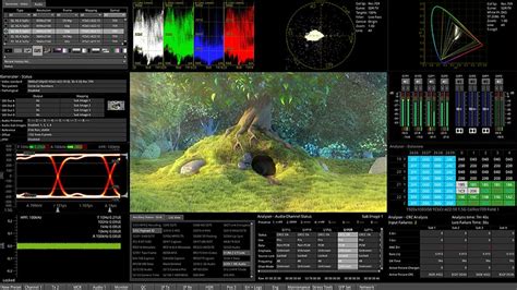 Qxl Phabrix
