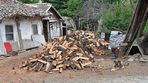 Полицаи и горски иззеха 19 кубика незаконни дърва от къщи в Згориград и