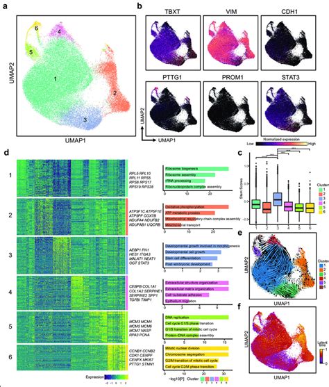 Expression Heterogeneity And Stem Like Malignant Cells In Sbc A 60626