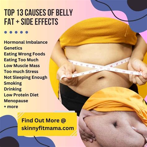 Top 13 Causes Of Belly Fat Side Effects Skinny Fit Mama