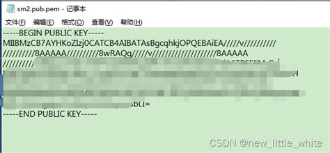 求助：公钥加密技术中的斜杠处理问题 Csdn博客