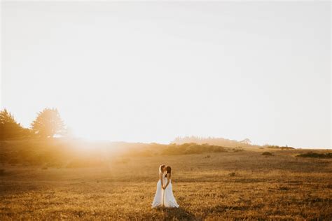 Lgbtqia Wedding Ceremony Scripts — Owl And Rose Ceremonies