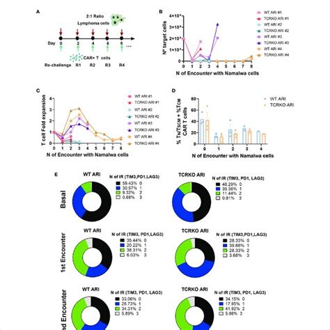 Tcrko Car T Cells Maintain Effector Potency After Highly Repetitive