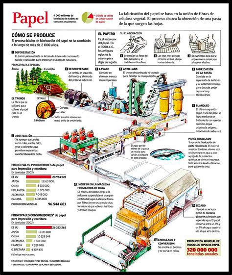 ¿cómo Se Hace El Papel Producción De Papel ♻️fluyeandcrea