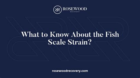 What To Know About The Fish Scale Strain
