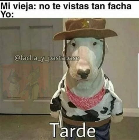 Pa Meme Subido Por Pancondulcedeleche 5 Memedroid