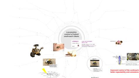 Locomotion Control Of Hybrid Cockroach Robots By Susanne Röll On Prezi