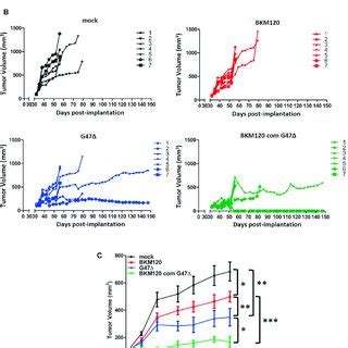 OHSV And BKM120 Combination Therapy In Vivo A Schematic Illustrating