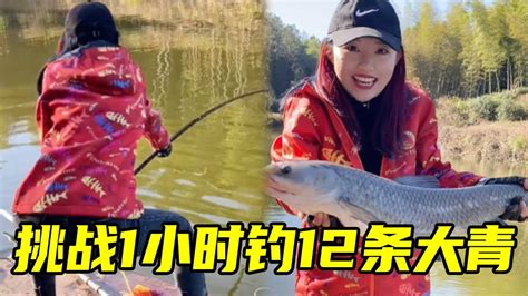 美女挑战1小时钓12条大青，一顿狂拉猛拽，差点被拉进水里！ 钓鱼 户外钓鱼 钓鱼生活 盘老板 女钓手 Youtube