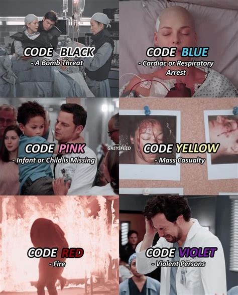 Greys Anatomy Fans True Love Greys Anatomy Episodes Greys Anatomy