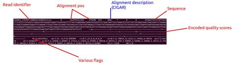 1 Introduction GDelevoye Cigarfilter GitHub Wiki