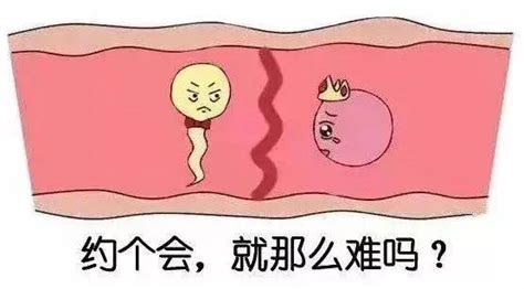 为什么怀不了孕？为什么生不了宝宝？导致不孕不育的原因是什么？ 知乎