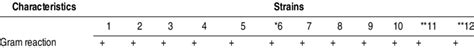 Morphological And Biochemical Characteristics Of Lactic Acid Bacterial